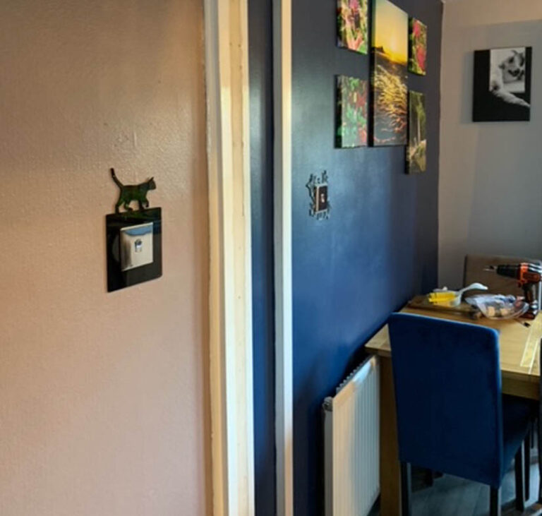 Cat Light Switch Surround / Socket Surround %%sep%% %%sitename%%